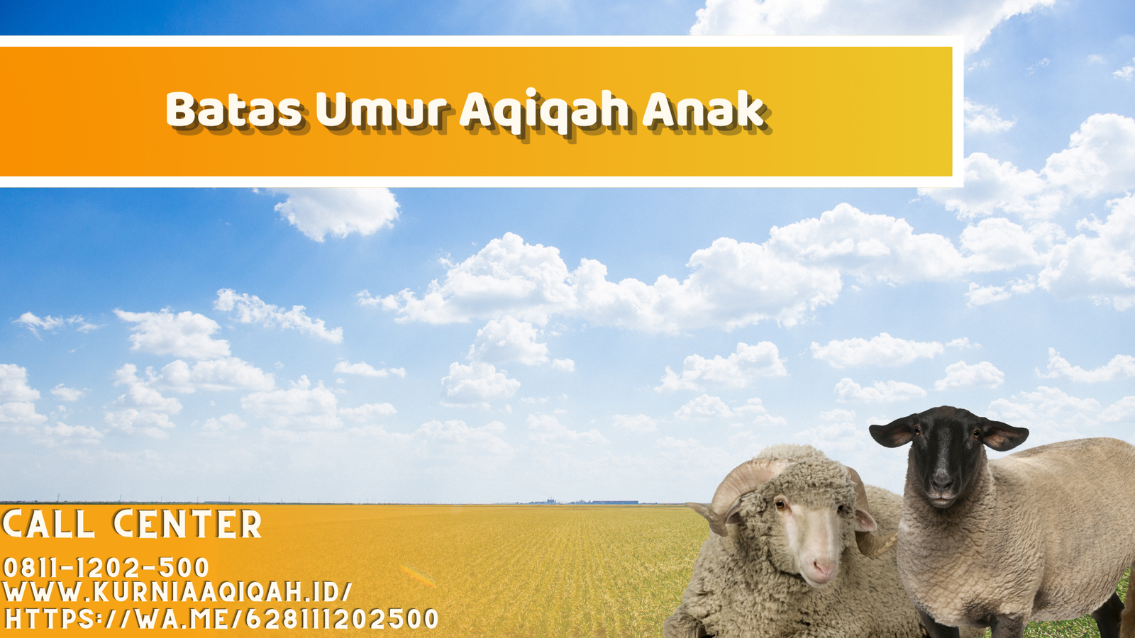 Batas Umur Aqiqah Anak - Kurnia Aqiqah